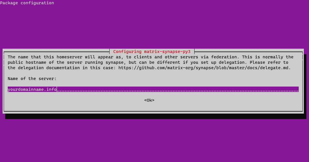 How to set up a Matrix Synapse server in Ubuntu 20.04